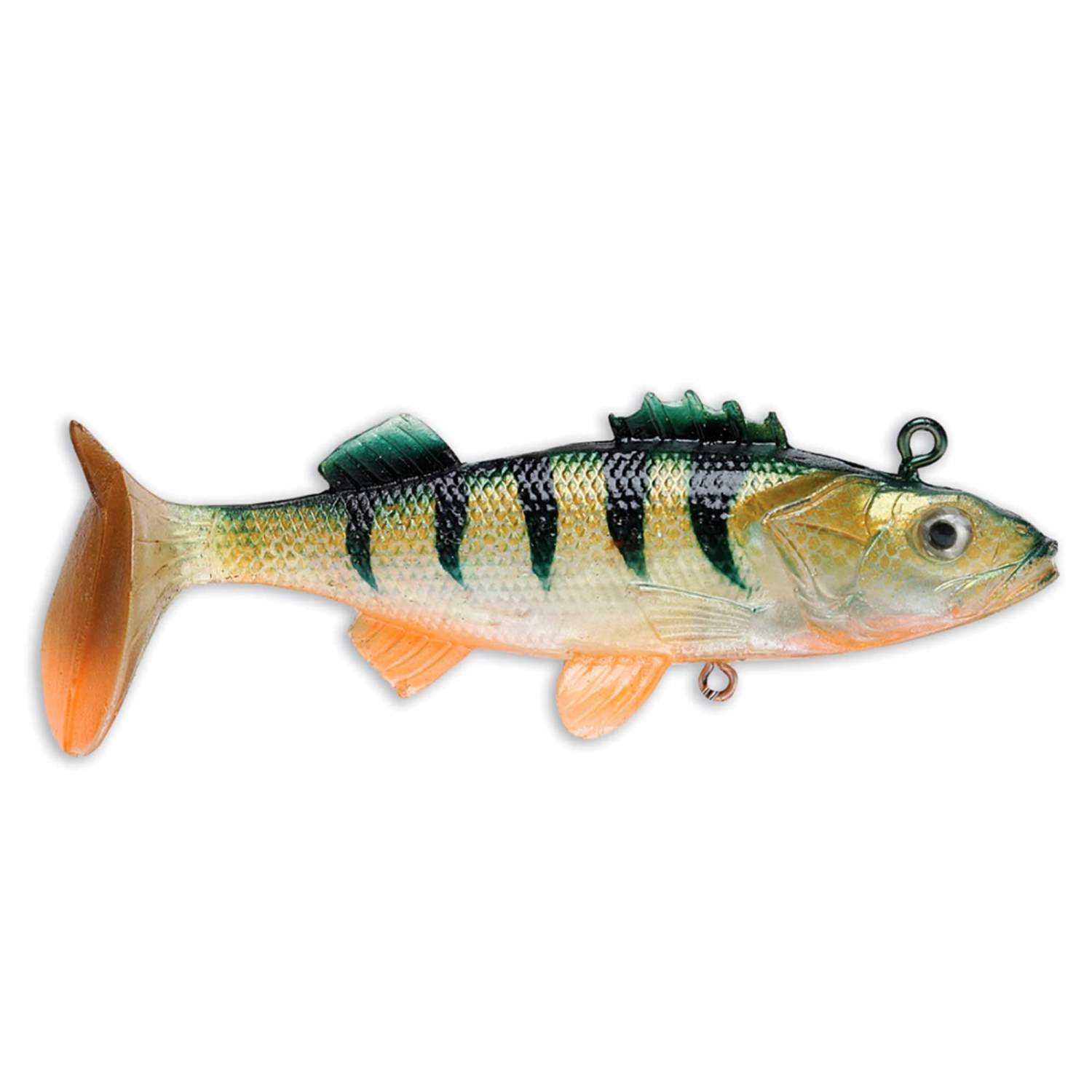 Storm Wildeye Live Perch 10cm Orange Belly Perch