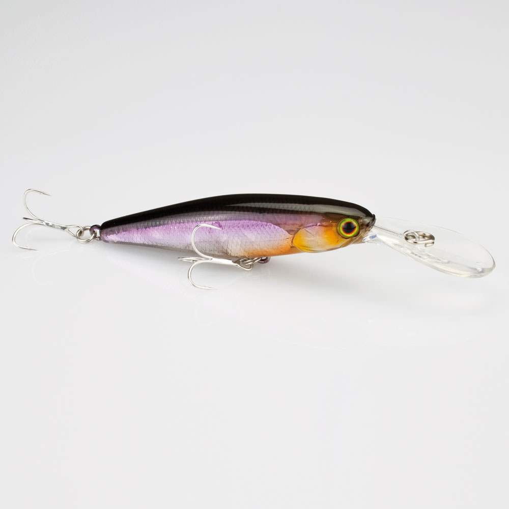 Illex DD Squirrel 67 SP Tiefläufer Wobbler 6,7cm - 6,8g - NF Wakasagi
