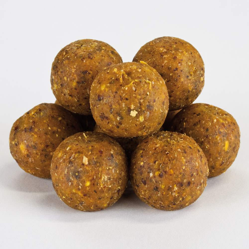 Tasty Baits Bucket Boilies 20mm Sessionpack Pop-Up + Dip 2,5kg Scopex
