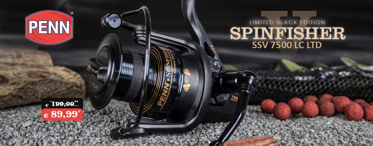 Freilaufrollen - ANGELSHOP ANGEL-DOMÄNE – Angelzubehör für Angler – hier!